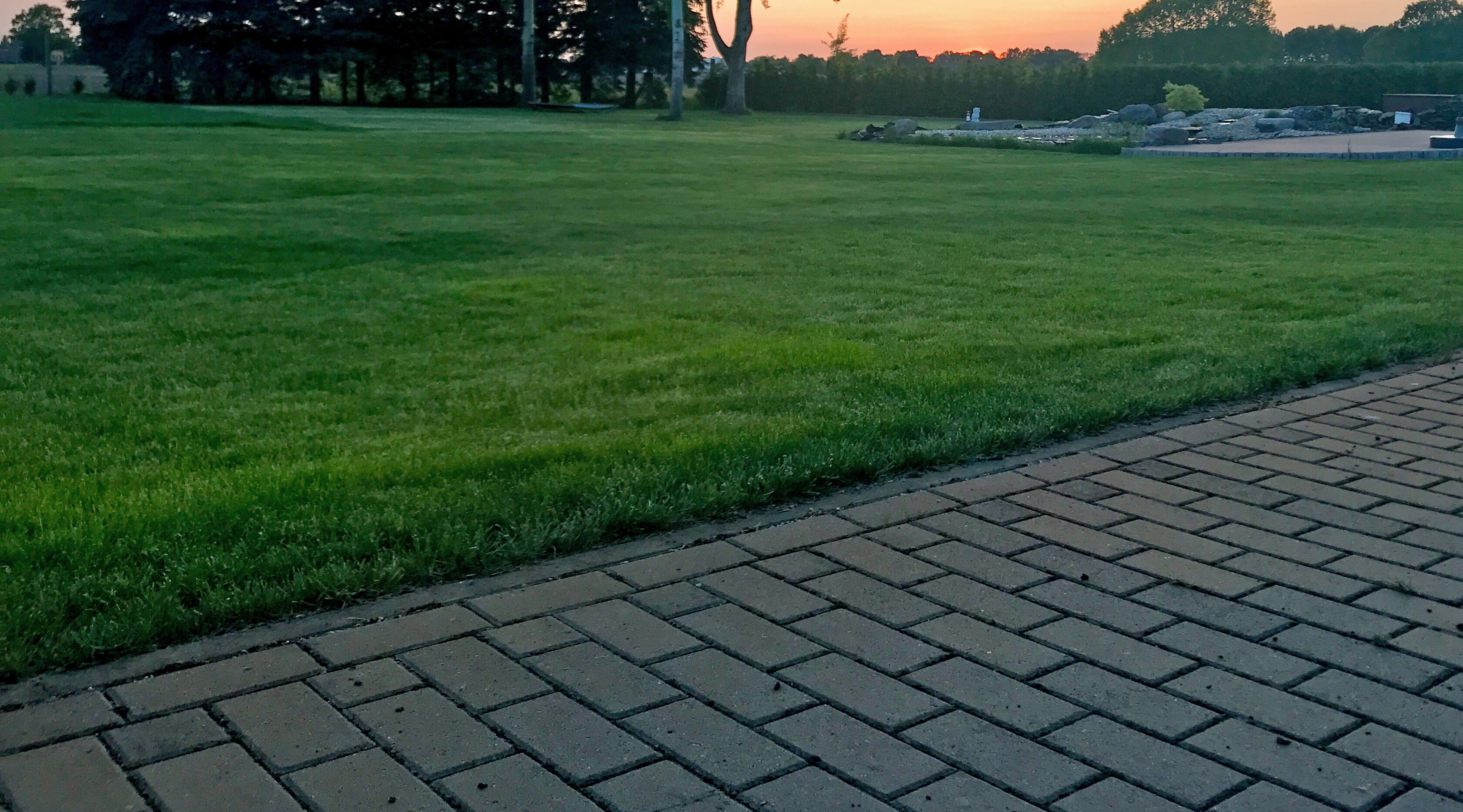 Der perfekte Rasen – Tipps zur Rasenpflege, das musst Du beachten